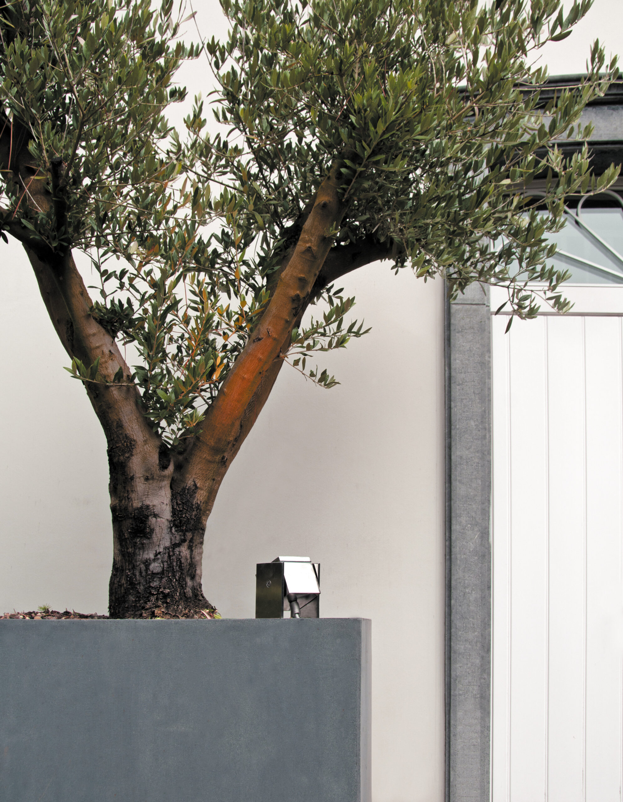 Royal Botania Q-Bic - Design Terrasverwarmer